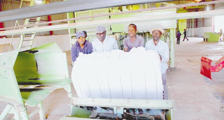 Govt: our current, future plans for cotton sub-sector - The Citizen