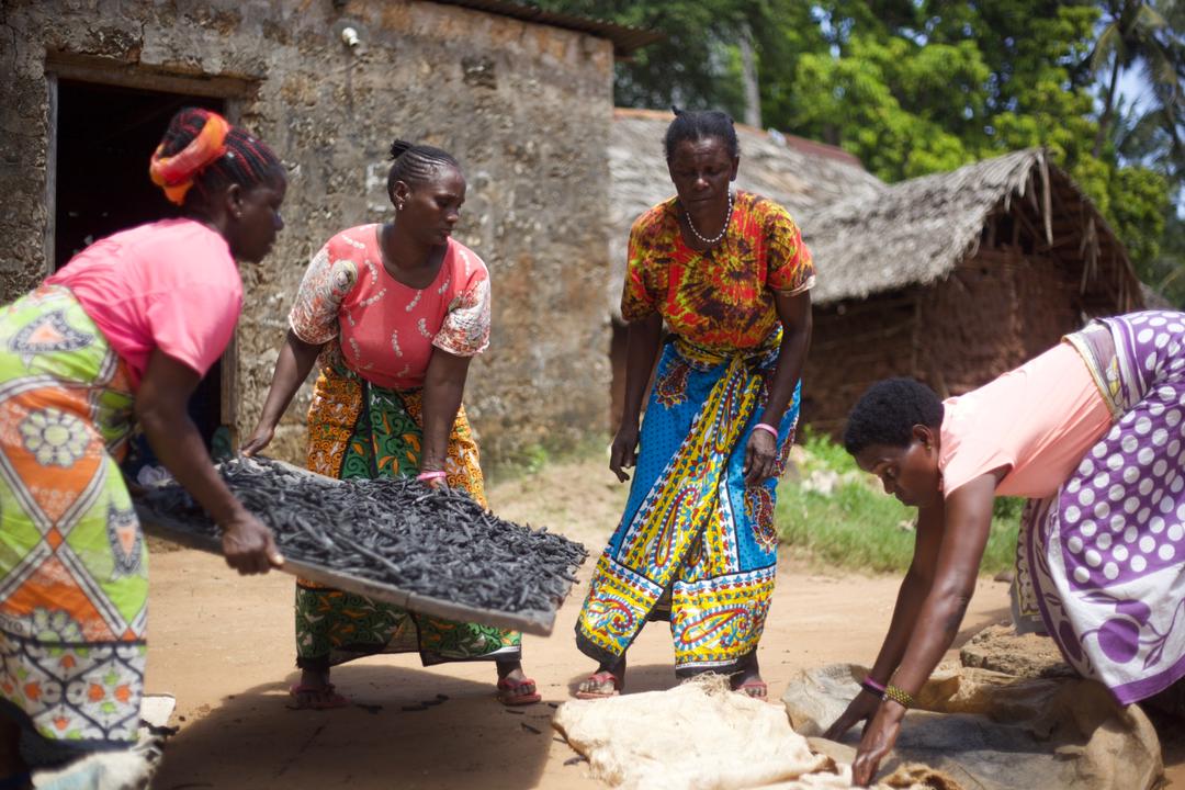 United for Green introduces organic fuel bio-charcoal - The Citizen