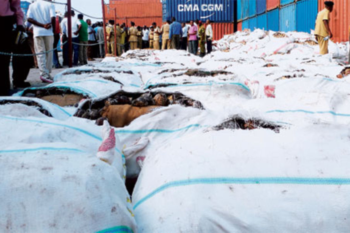 Why Tanzania needs a smarter,all combating anti-poaching drive | The ...