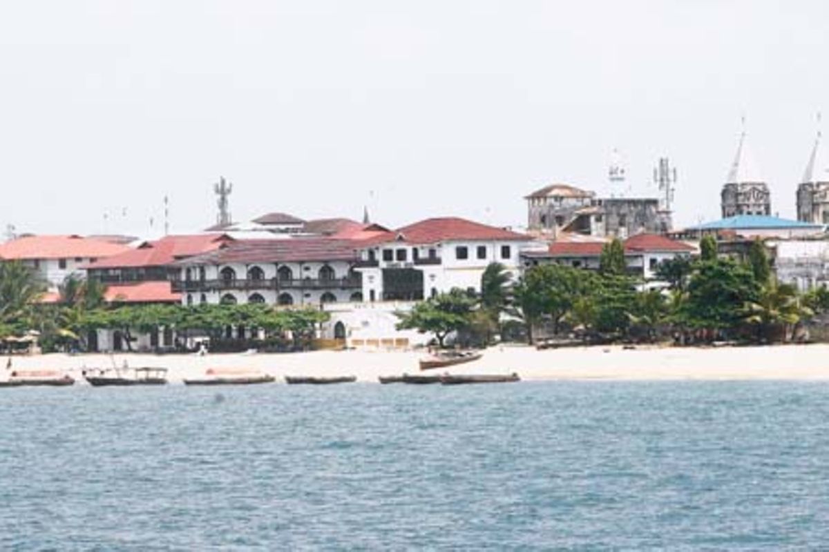 Mission to improve Zanzibar’s economy not yet accomplished | The Citizen