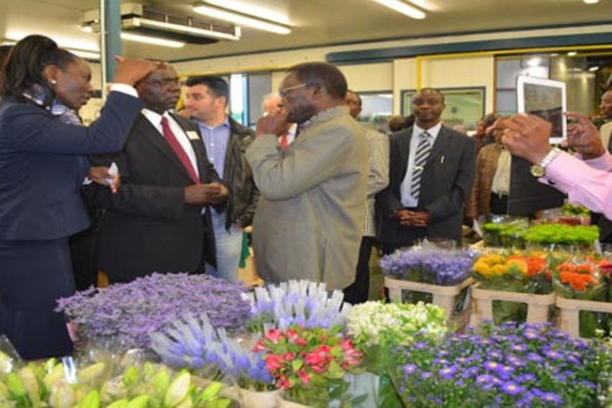 ICT advancement should help farmers press ahead | The Citizen