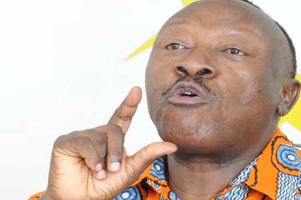 Lipumba query on new minister draws criticism | The Citizen