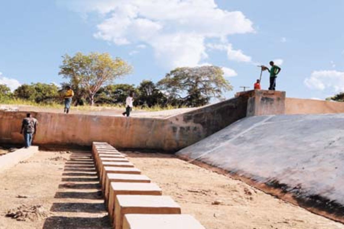 Agro-sector can produce more | The Citizen