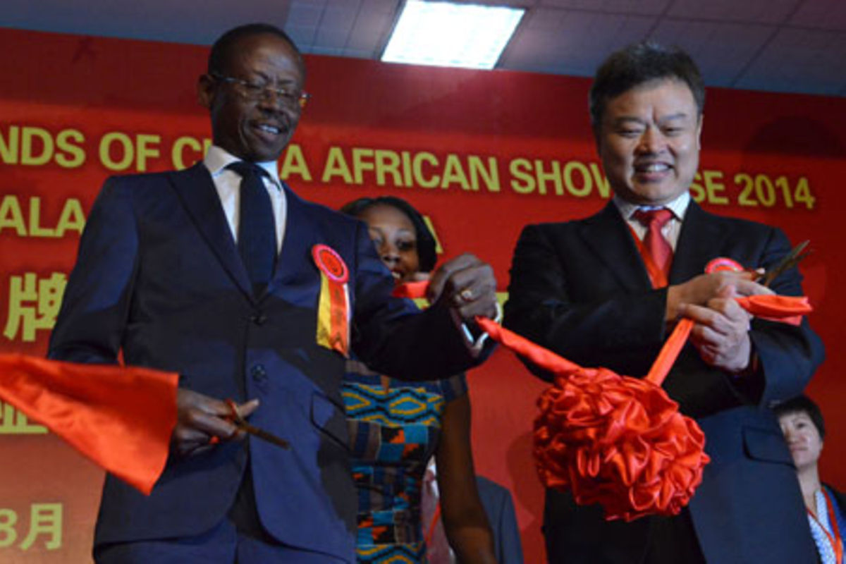 TZ urges Chinese to build factories | The Citizen