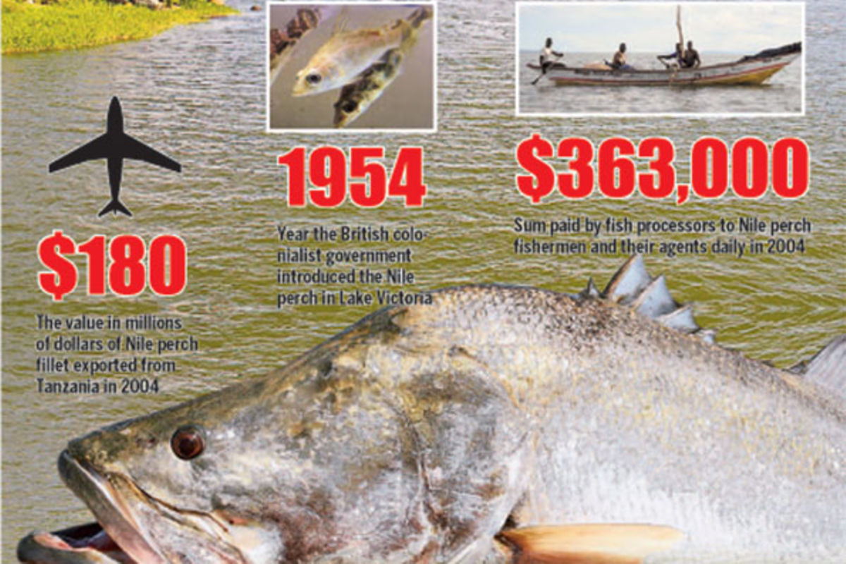 SPECIAL REPORT: How Darwinian theory emerged in L.Victoria as Nile ...