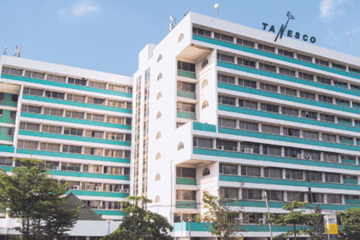 100 investors fear Tanesco monopoly | The Citizen