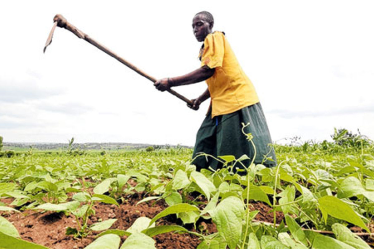 SPECIAL REPORT: Land grabbing in Tanzania: The truth and fallacies ...