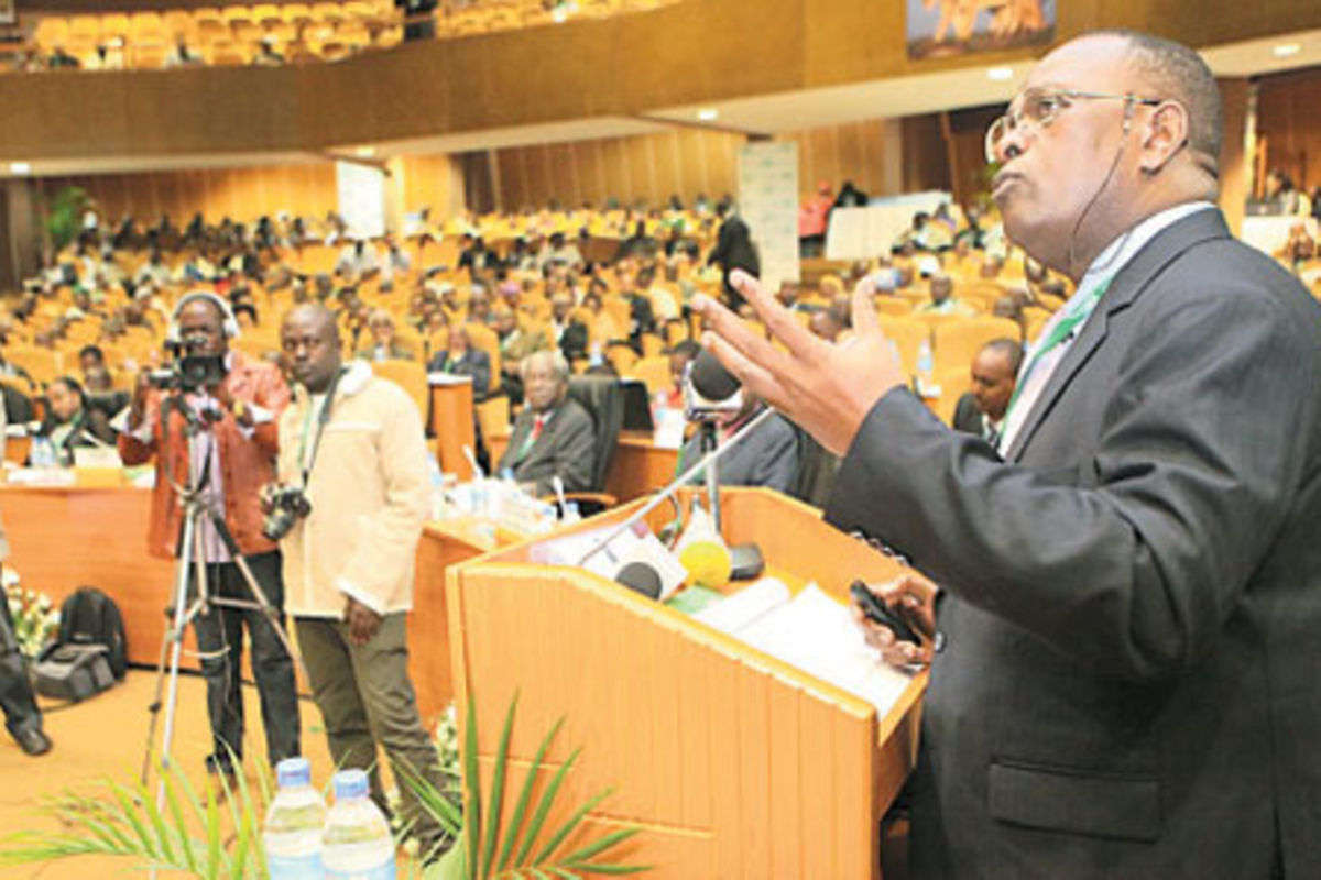 Kimei’s take on the shilling | The Citizen