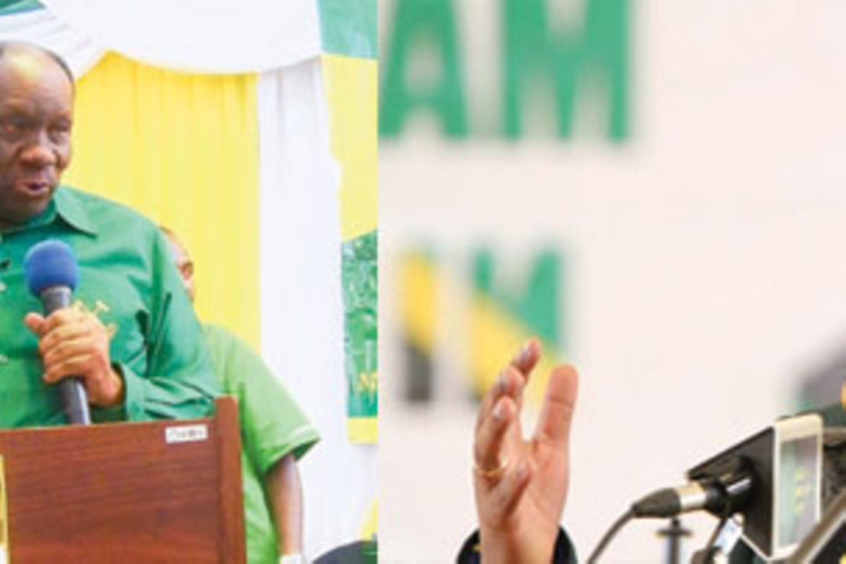 Wasira, Nchemba join the battle as CCM’s list grows | The Citizen