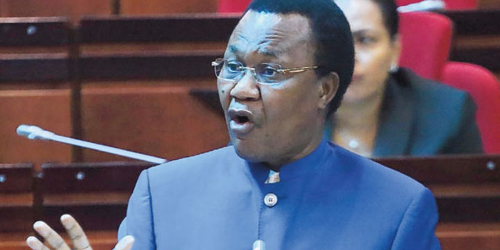 MPs commend Lukuvi’s work | The Citizen