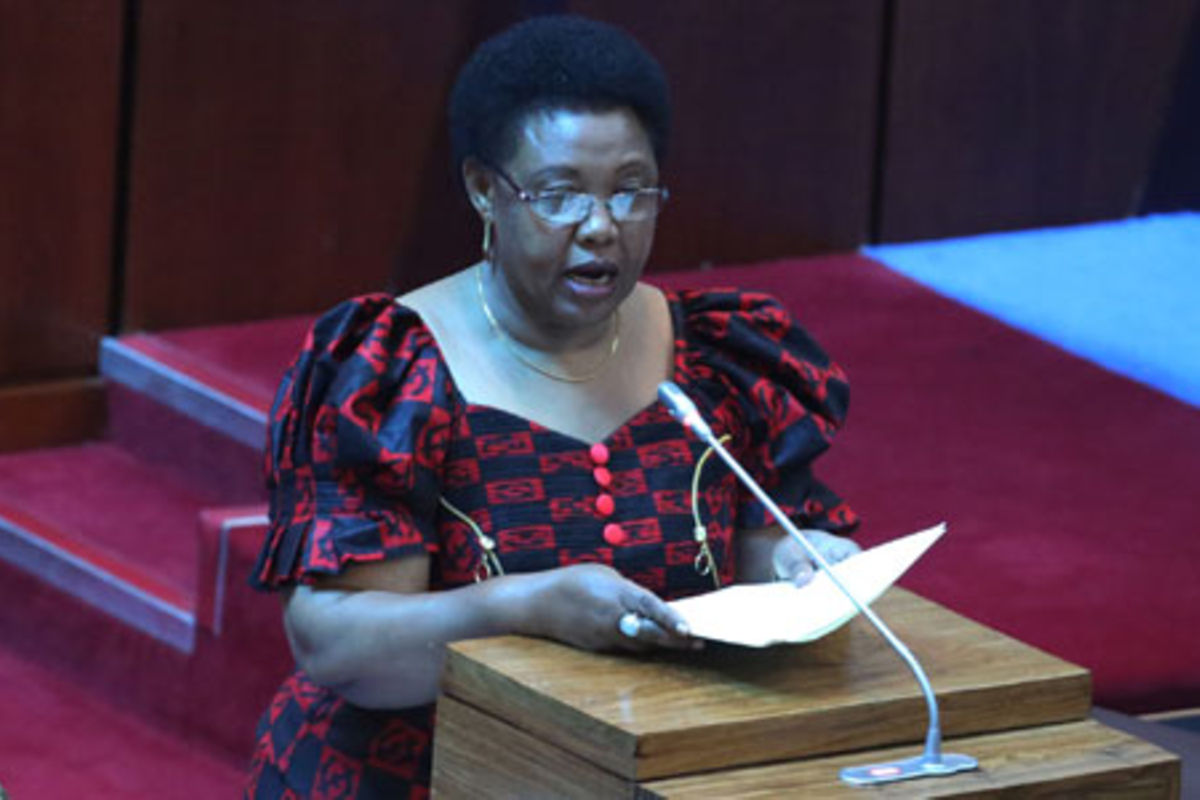 Sh6trn set aside for development budget | The Citizen
