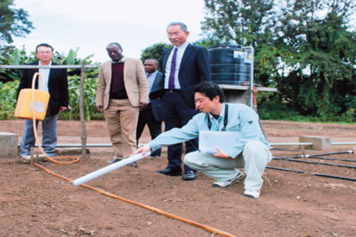 College introduces irrigation training | The Citizen