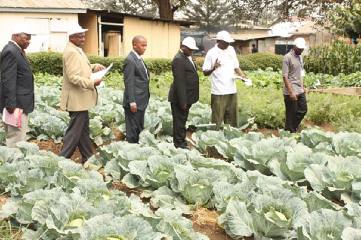 Ruvu JKT plans to sell more agricultural produce | The Citizen