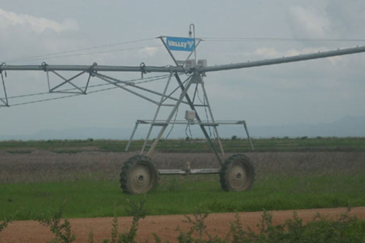 Ownership of 1,870ha of rice fields revoked | The Citizen