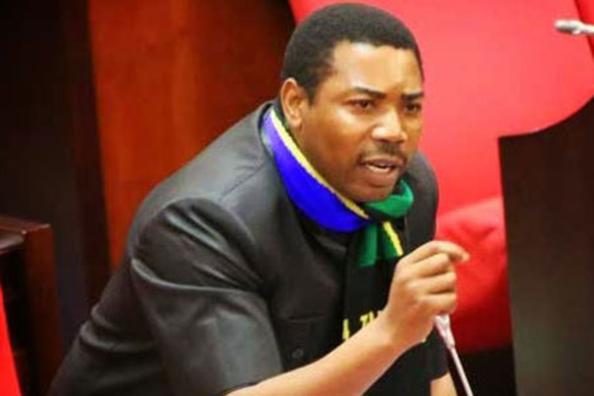 Nchemba explains delays on Mponde Tea Factory reopening | The Citizen