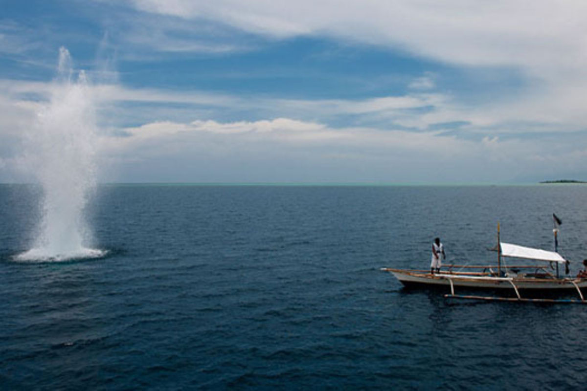 Can dynamite fishing be stopped in Tanzania? | The Citizen