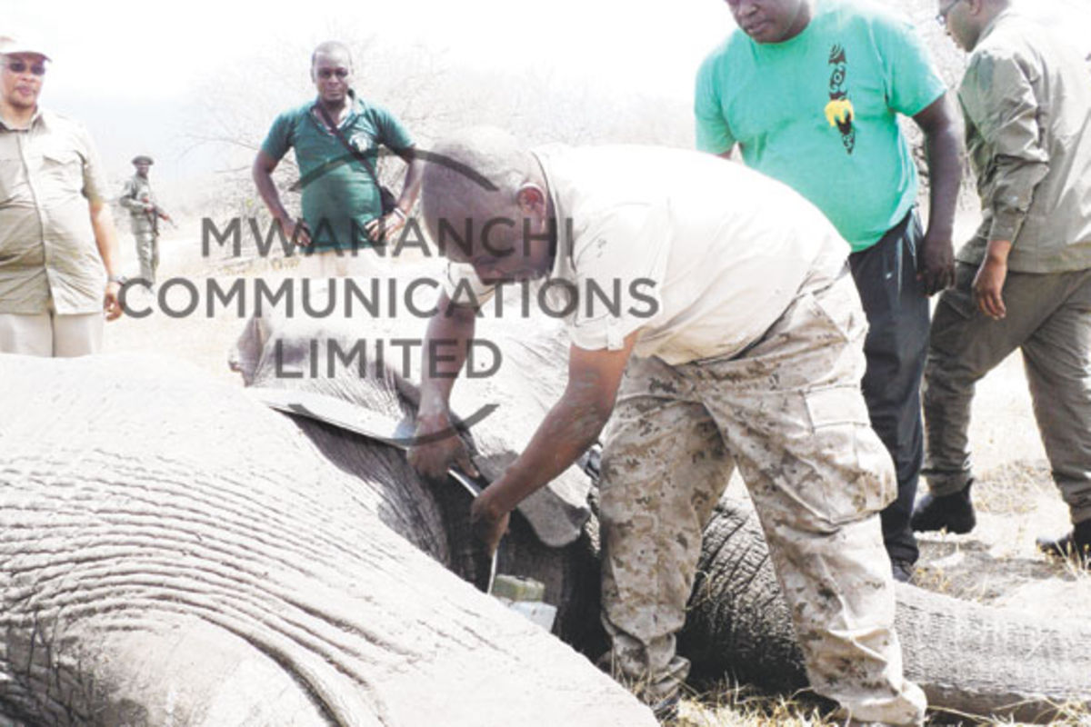 Tanapa and UN body step up fight against poaching | The Citizen