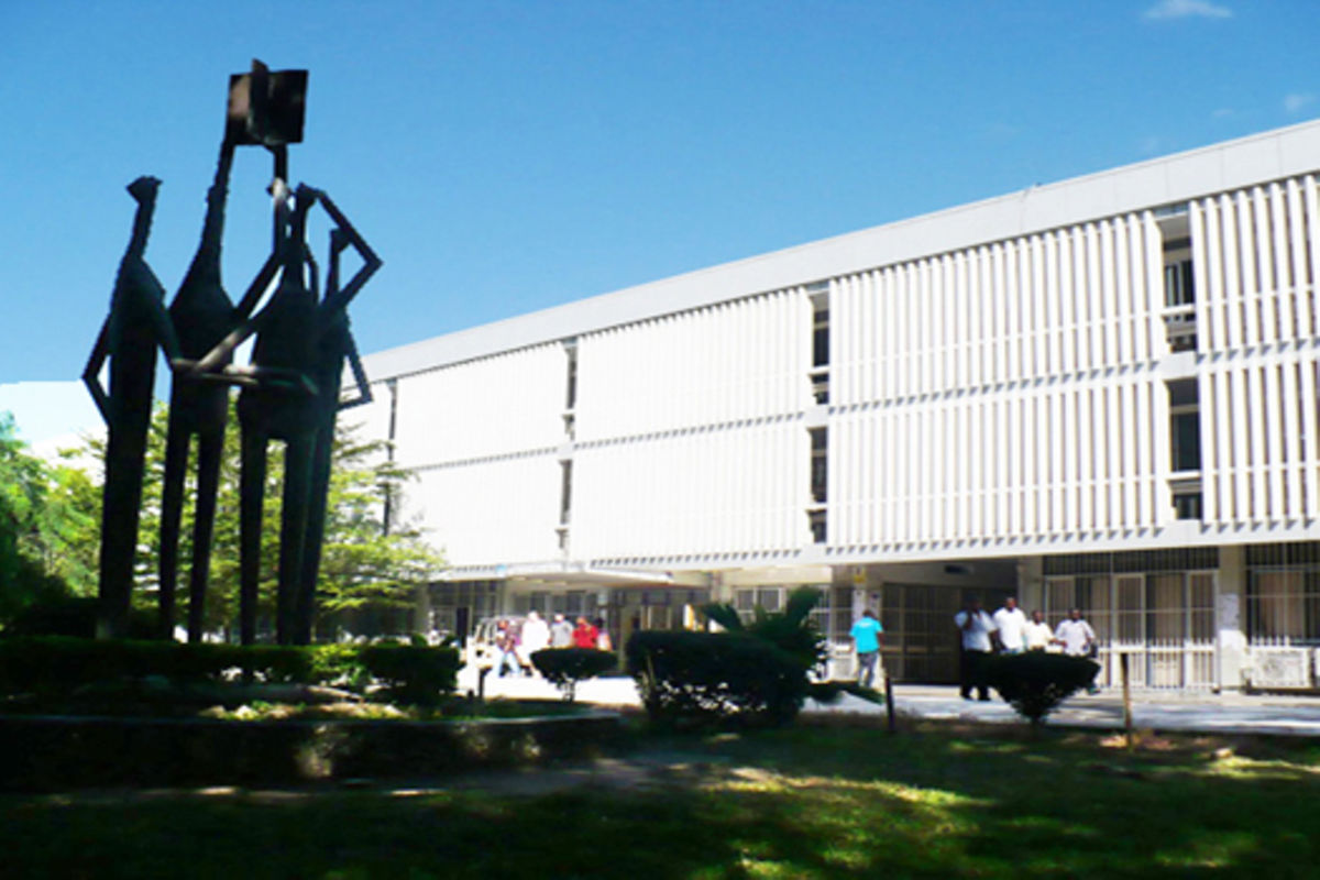 UDSM lunches new institutes | The Citizen