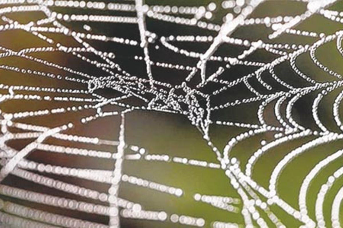 The Dark Web and cyber crime | The Citizen