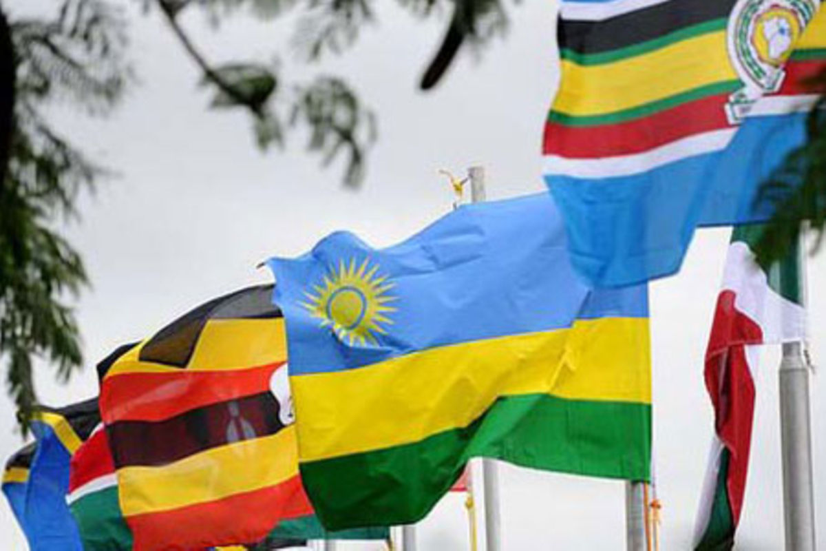 Work closely with EAC states, court counselled | The Citizen