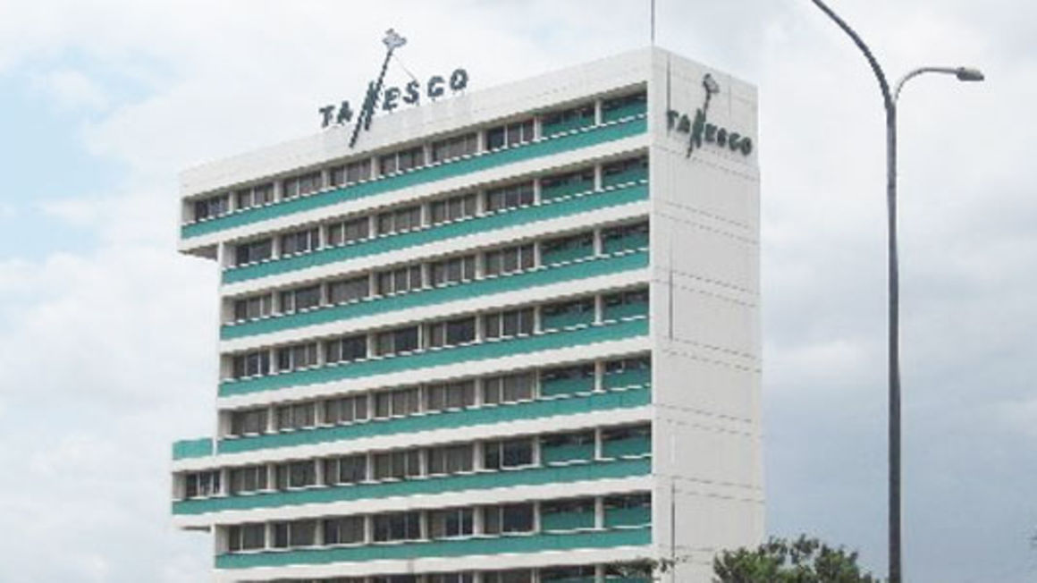 Public to buy 49pc of Tanesco shares - The Citizen