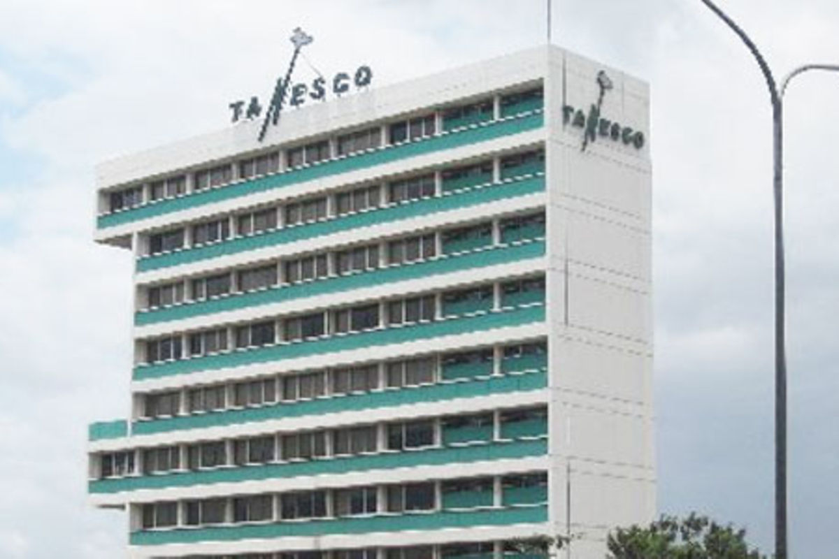 Public to buy 49pc of Tanesco shares | The Citizen