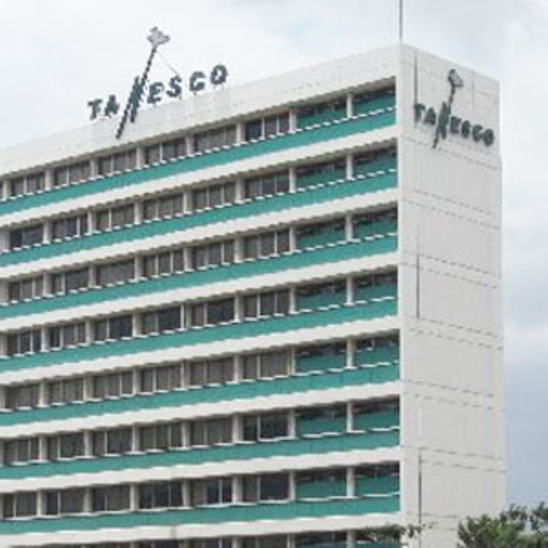 Public to buy 49pc of Tanesco shares - The Citizen