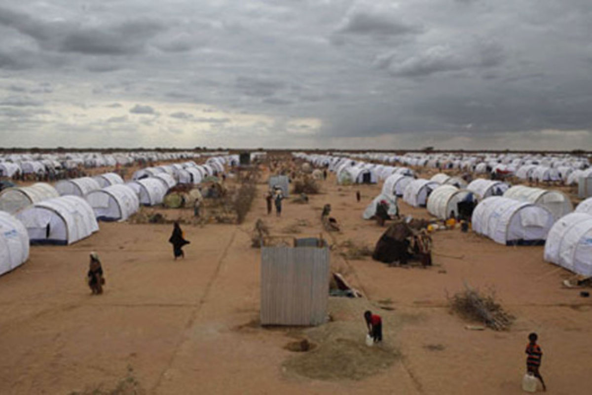 The sprawling refugee camp that steadily grew into a city | The Citizen
