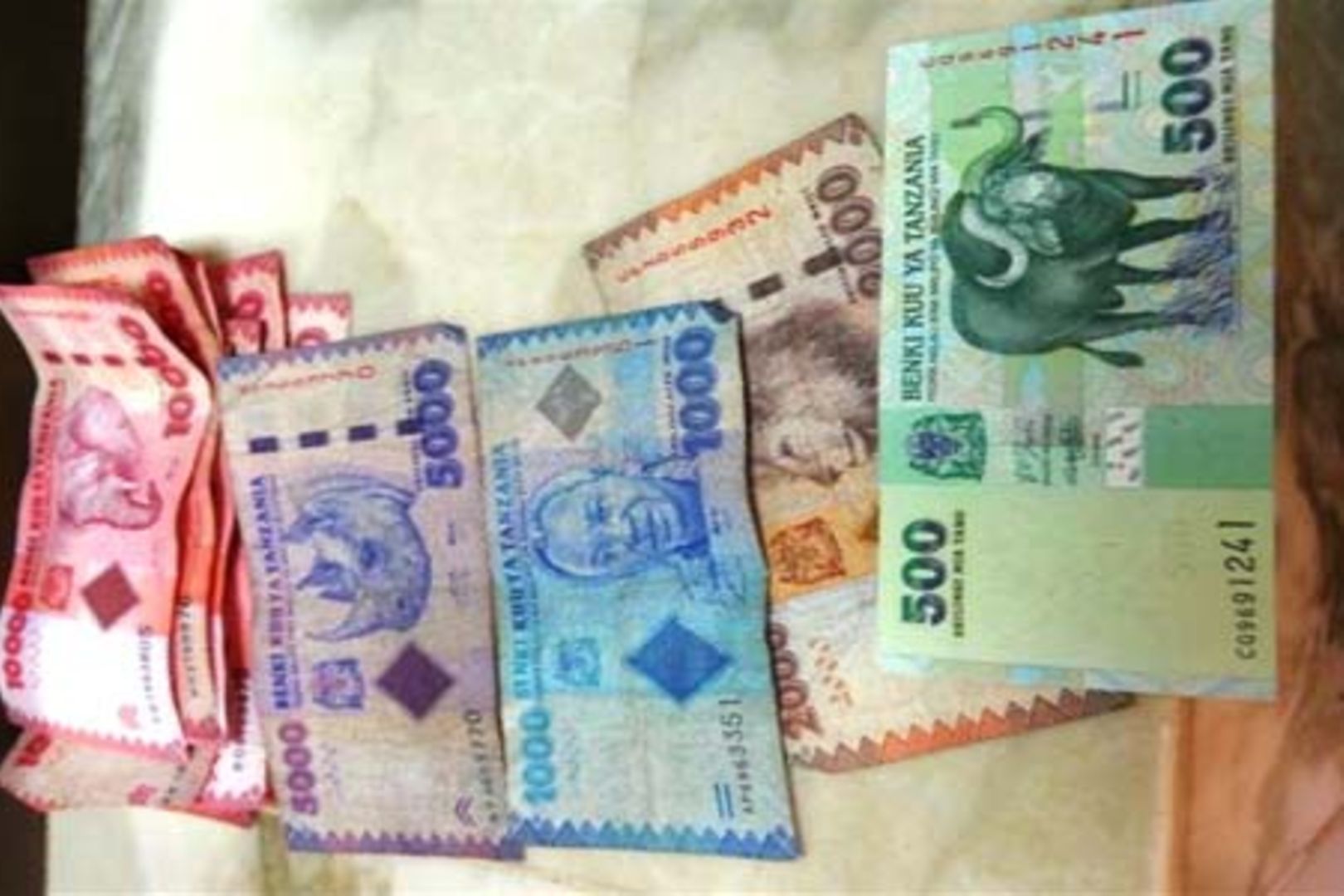 Tanzanian Shilling