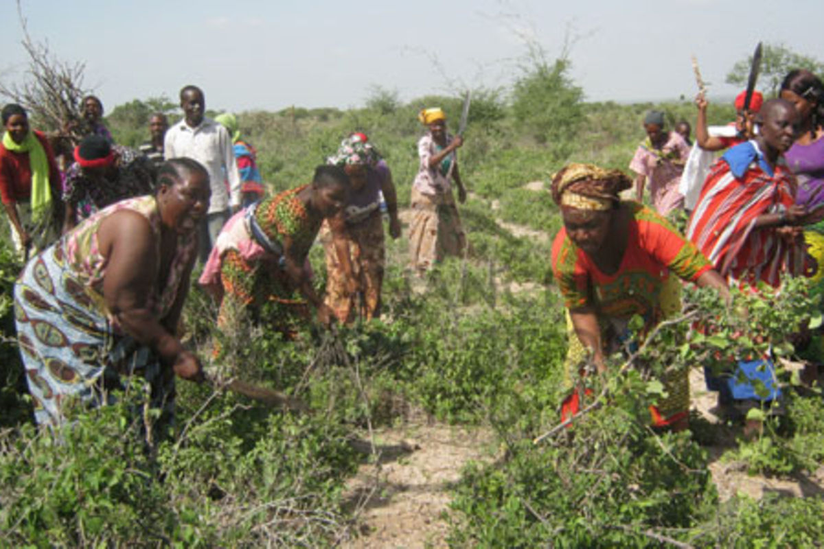 Over 70 people take over land in Mirerani | The Citizen