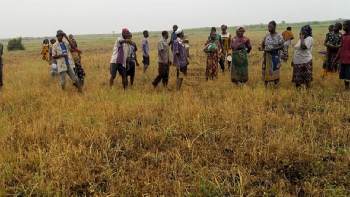 Land conflicts: Govt surveys borders - The Citizen