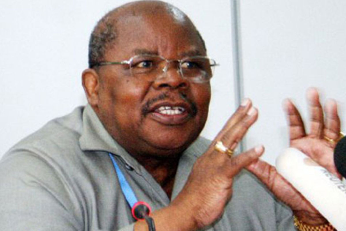 Mkapa foundation donates houses to southern regions | The Citizen