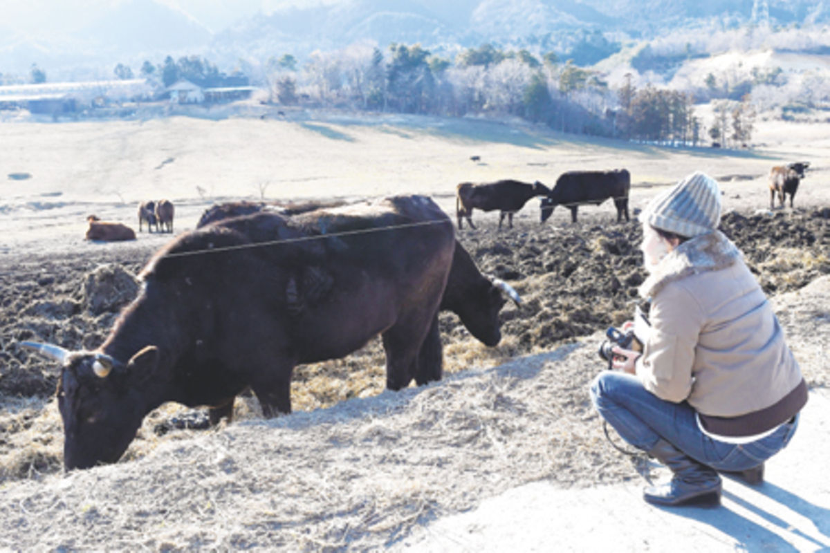Fukushima becomes hotspot for ‘dark tourism’ | The Citizen