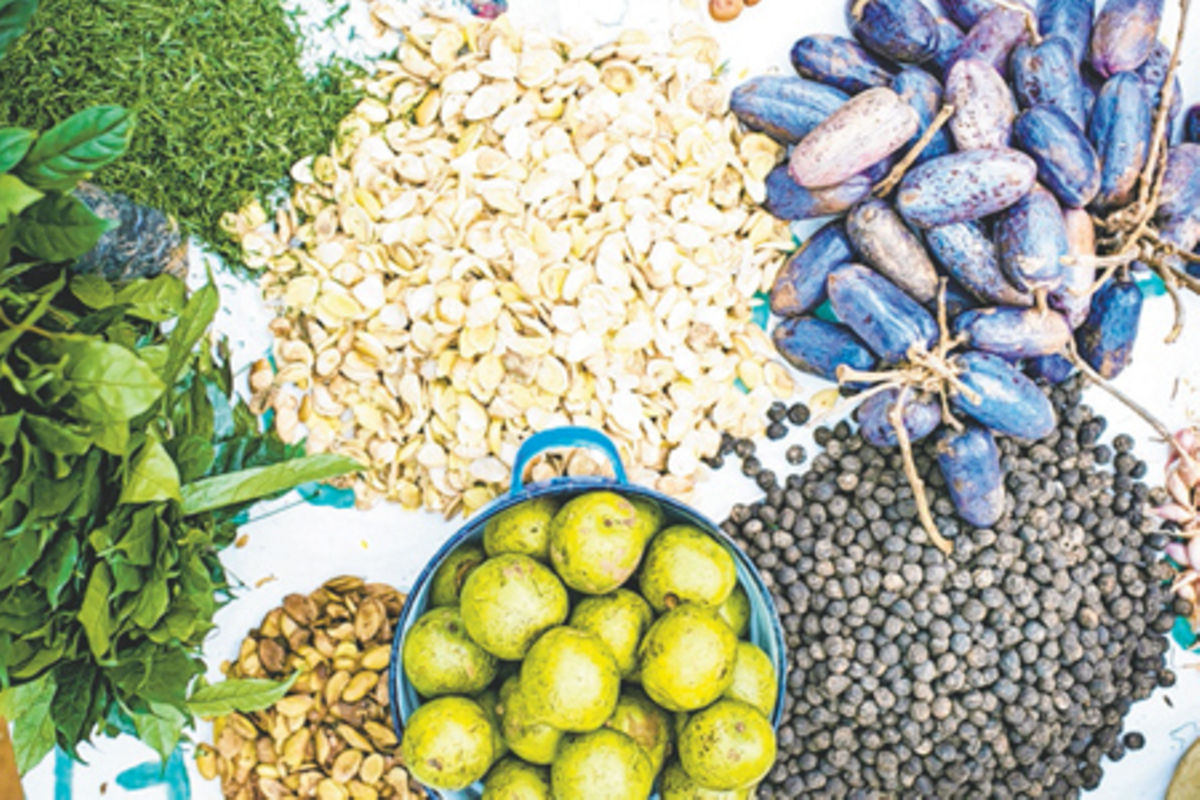 Boko Haram is losing, but so is food production in Nigeria | The Citizen