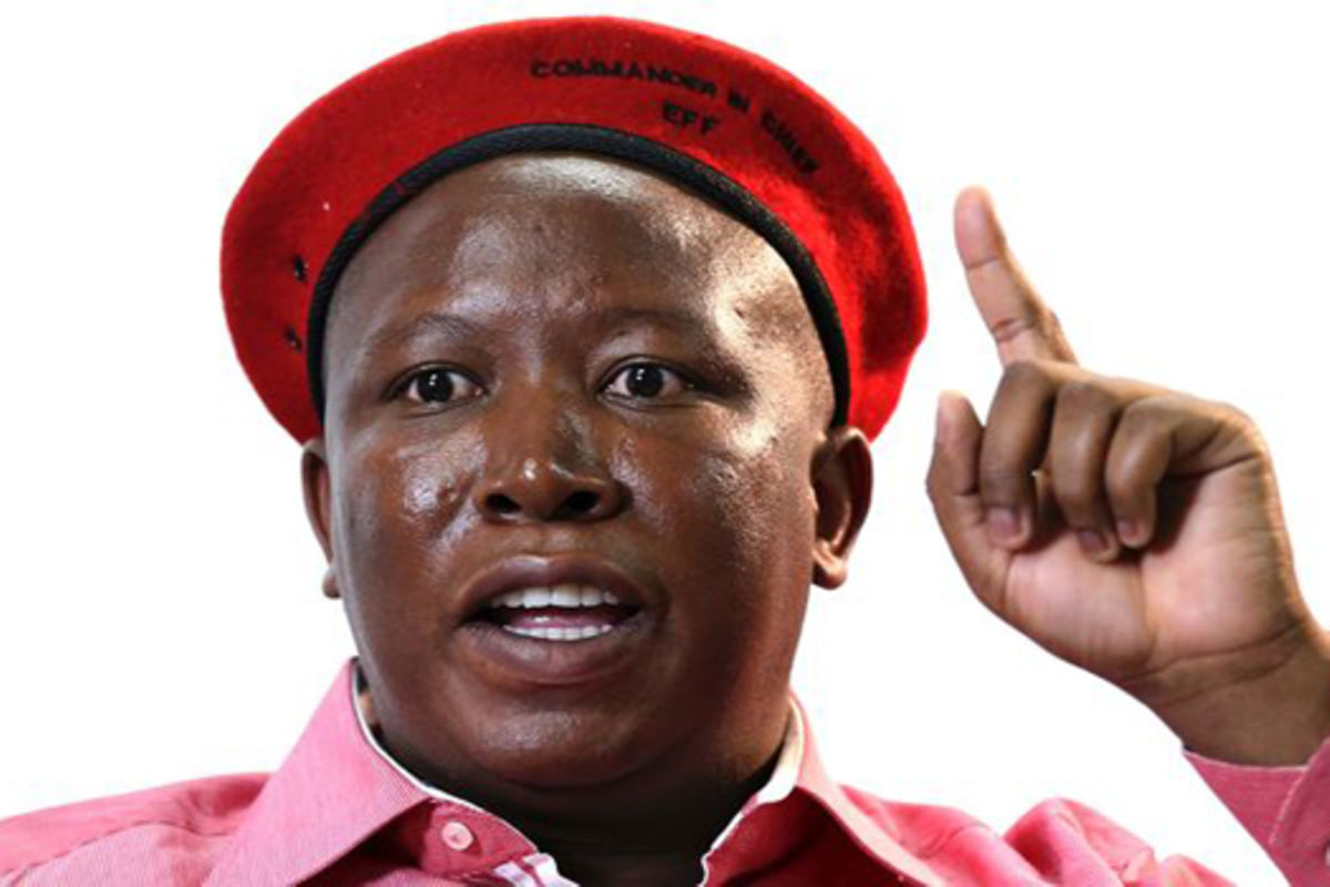 ANC to lay charges against Malema | The Citizen