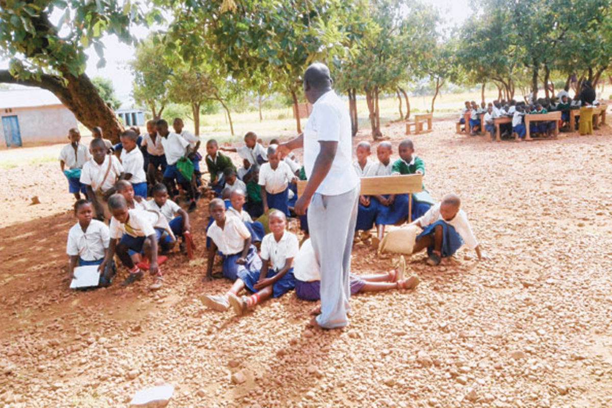 How to lift 12m Tanzanians out of extreme poverty: WB | The Citizen
