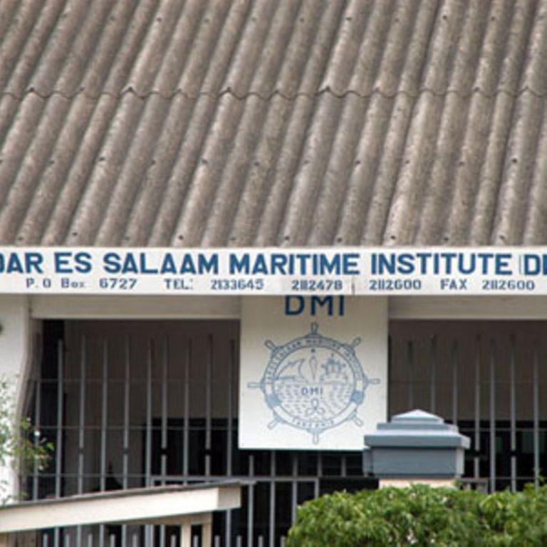 New course at DMI - The Citizen