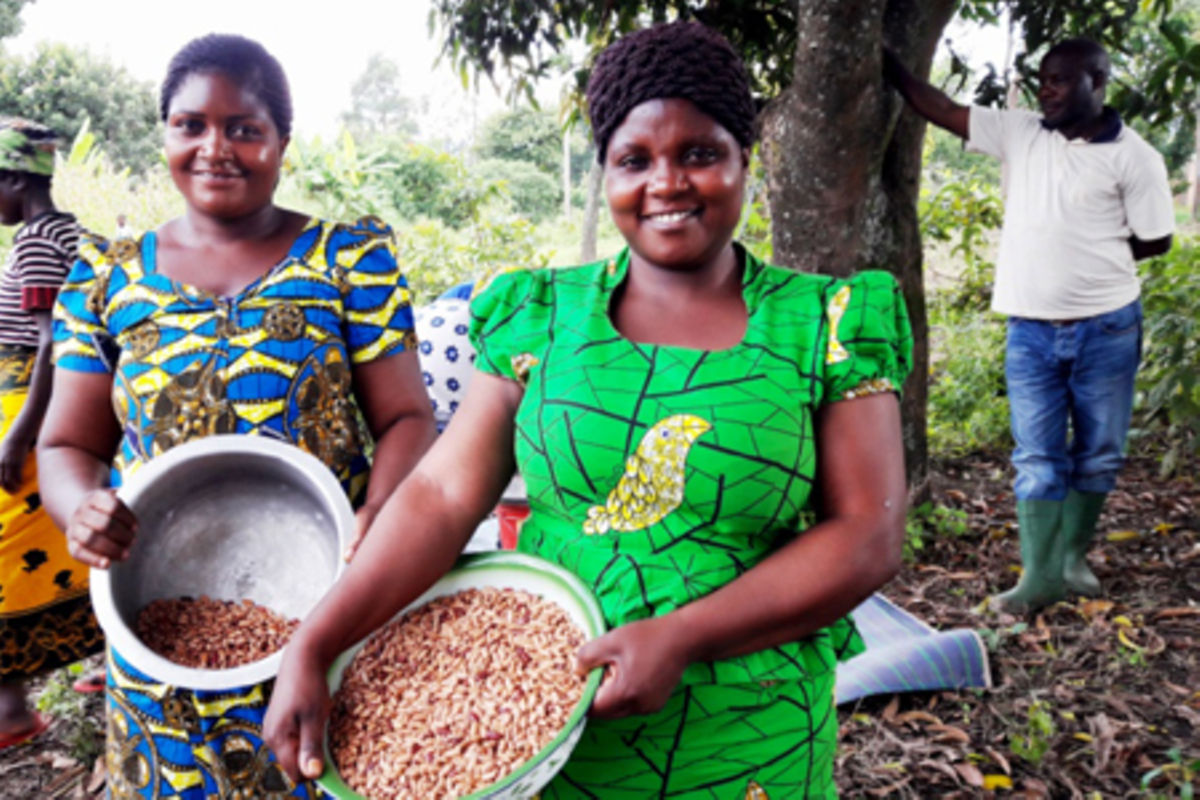 Ruvuma bean farmers given tips on proper farming | The Citizen