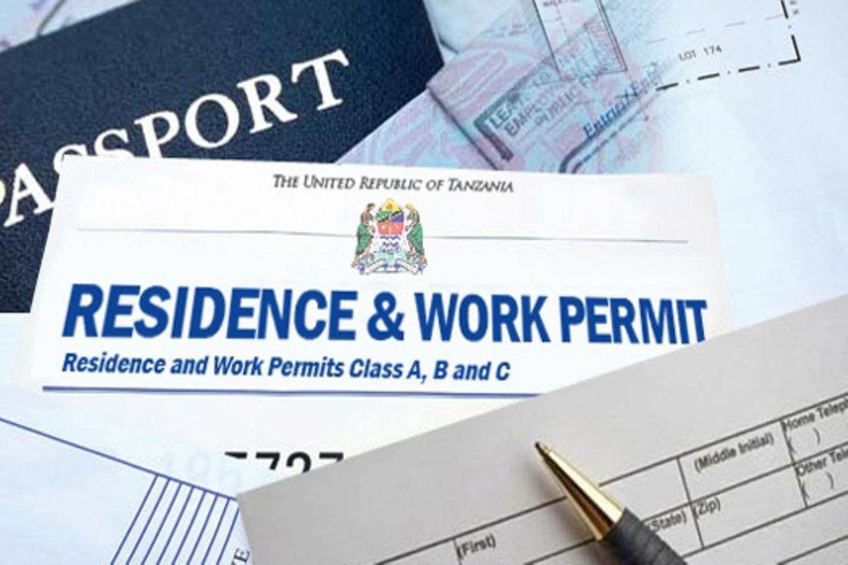 Immigration issues block 2 foreigners from the fair | The Citizen