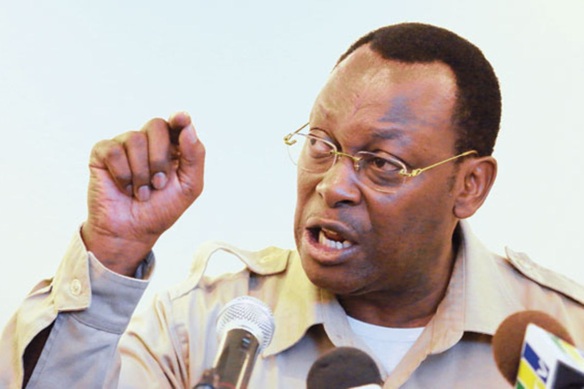 Chadema plans peaceful demonstrations against electoral bills | The Citizen