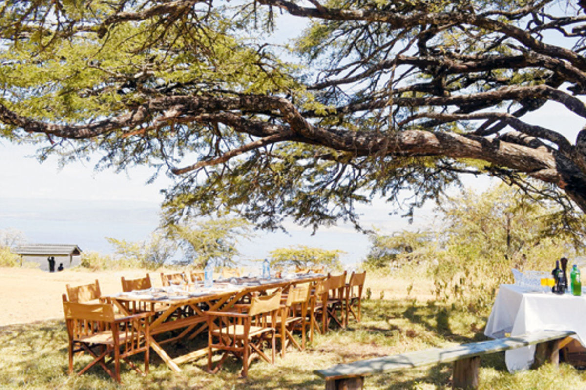 A weekend getaway to Mbweha Camp | The Citizen