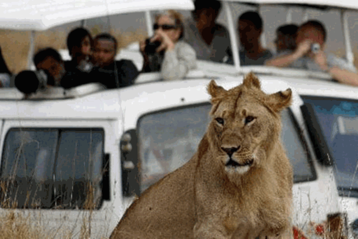 Tanapa eyes more visitors | The Citizen