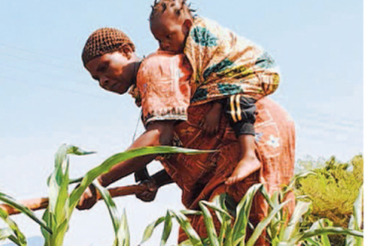 Deals that can break poverty cycle afflicting local farmers | The Citizen