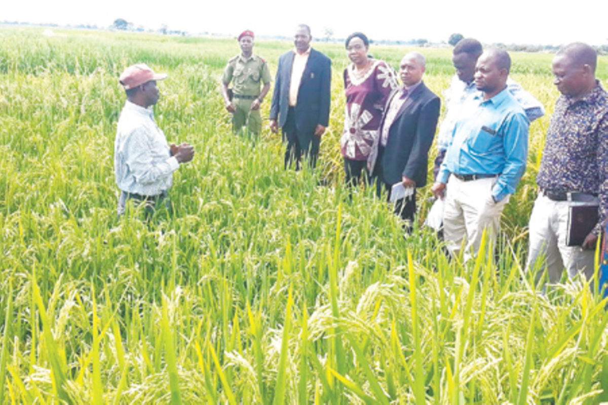 Envoy lauds farming support | The Citizen