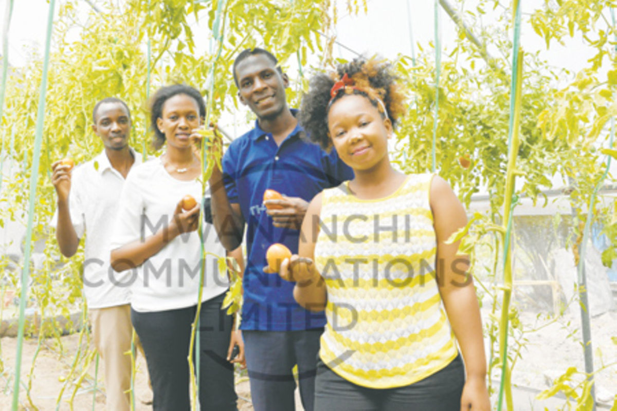 Young agripreneurs making farming cool | The Citizen