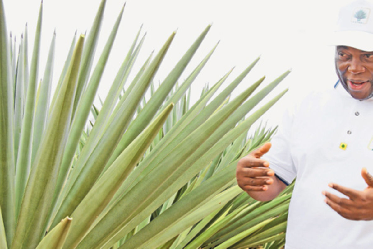 Katani MD: Let farmers play key role in 2025 drive | The Citizen