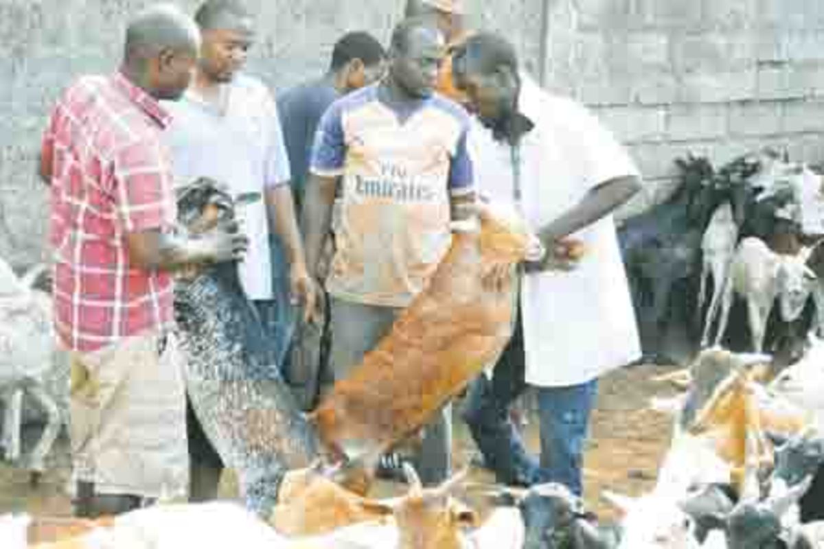 The 1000 hands at Vingunguti slaughterhouse | The Citizen