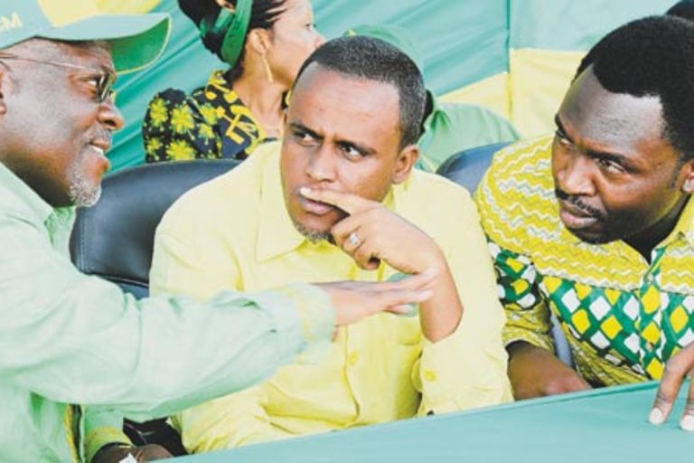 Our politics isn’t open for criticism: Reflecting on Bashe’s word on ...