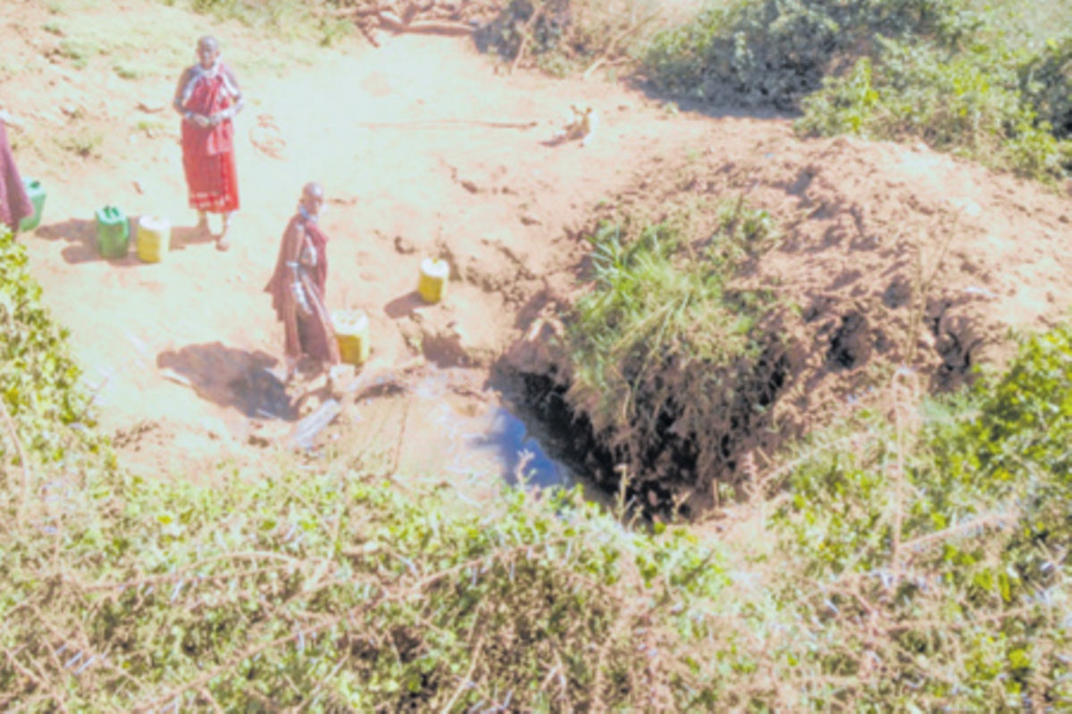 Study: Loliondo game area under threat | The Citizen