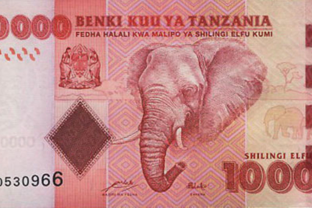 Fear as TZ shilling hits 19-month low | The Citizen